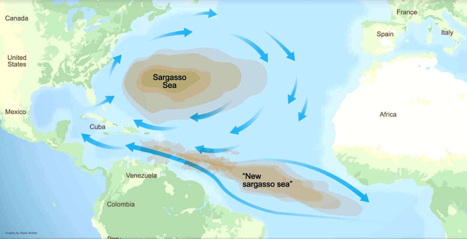 Is there still a Sargassum Season? - Sargassum Monitoring