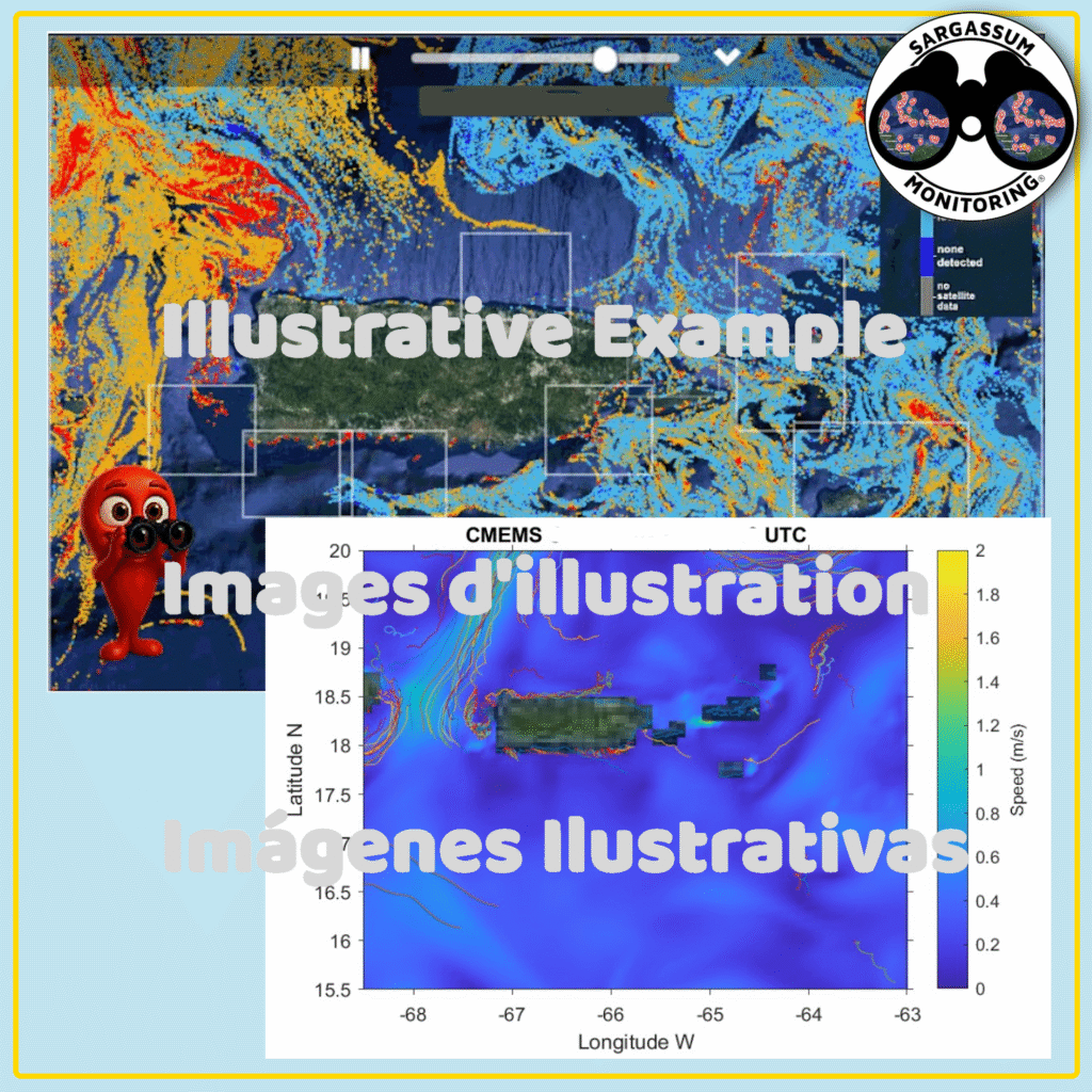 Sargassum forecast Puerto Rico - Vieques - US Virgin Islands ...